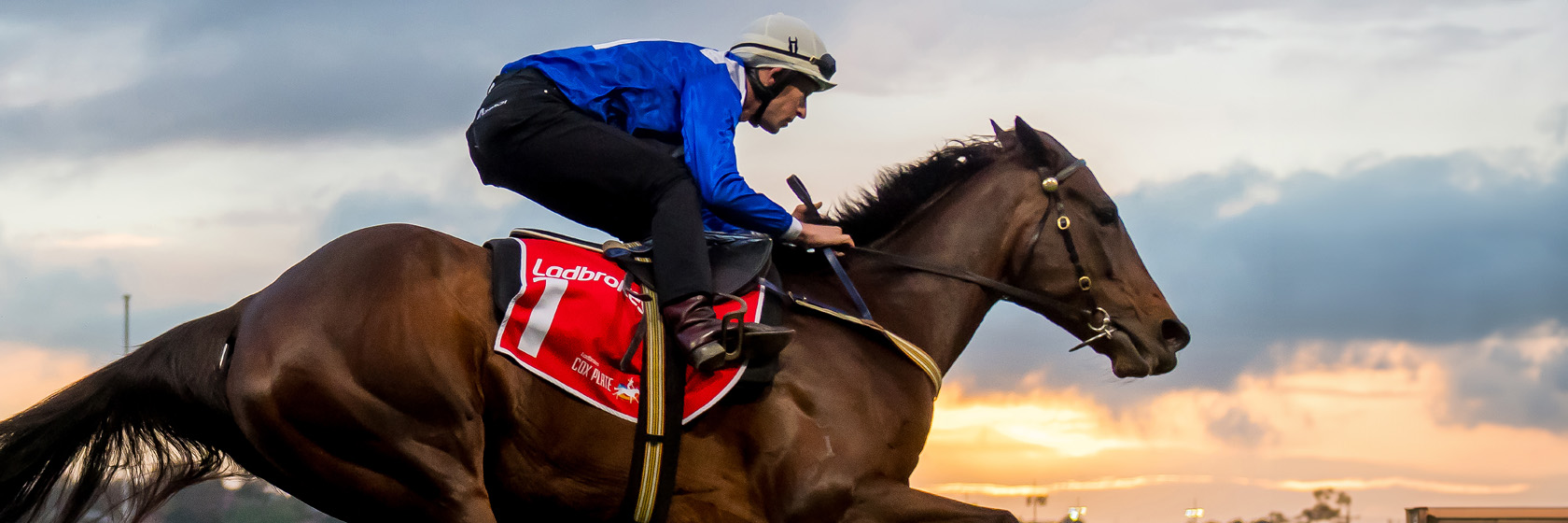 A Horse Named Winx | Q&A Preview | Palace Cinemas