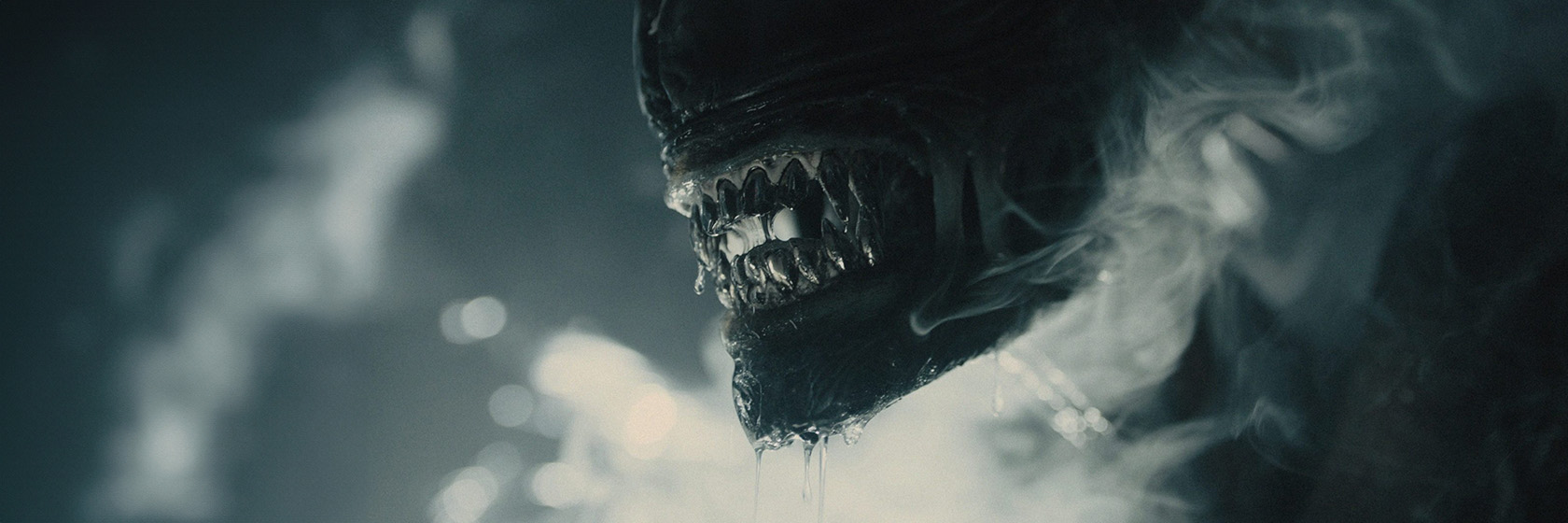 Alien: Romulus | Fright Night Preview | Palace Cinemas