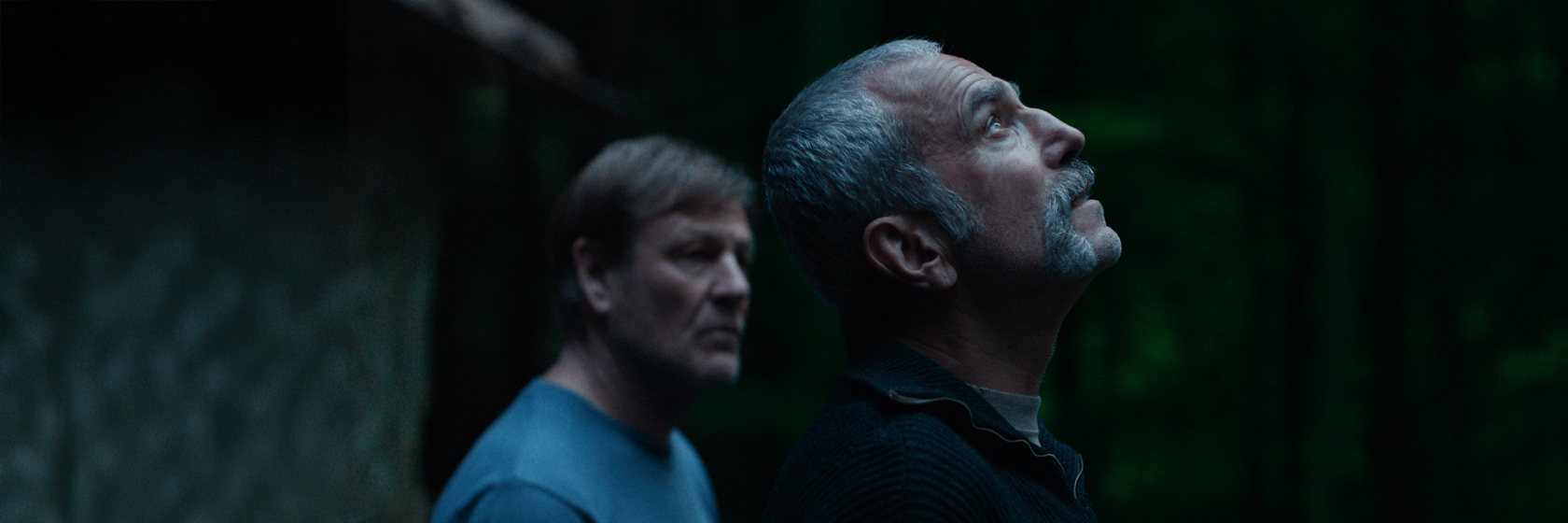 Anemone | Palace Cinemas