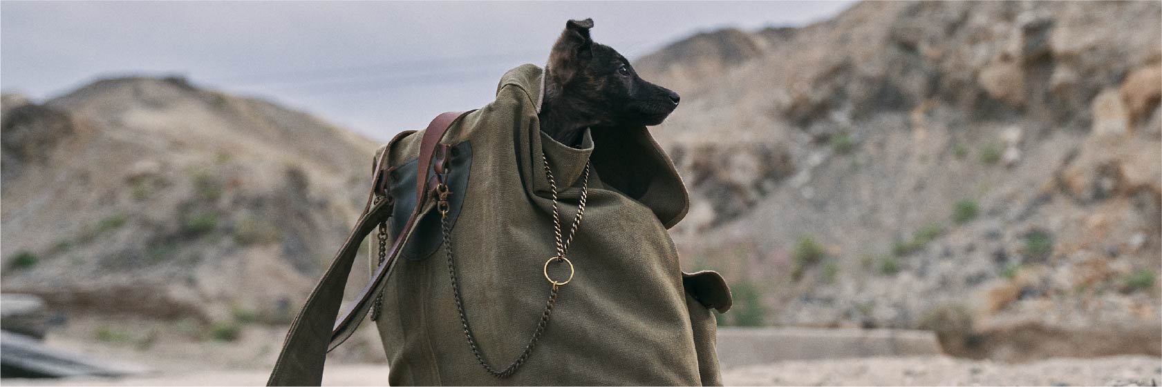 BBFF24: BLACK DOG (Gou Zhen) | Palace Cinemas