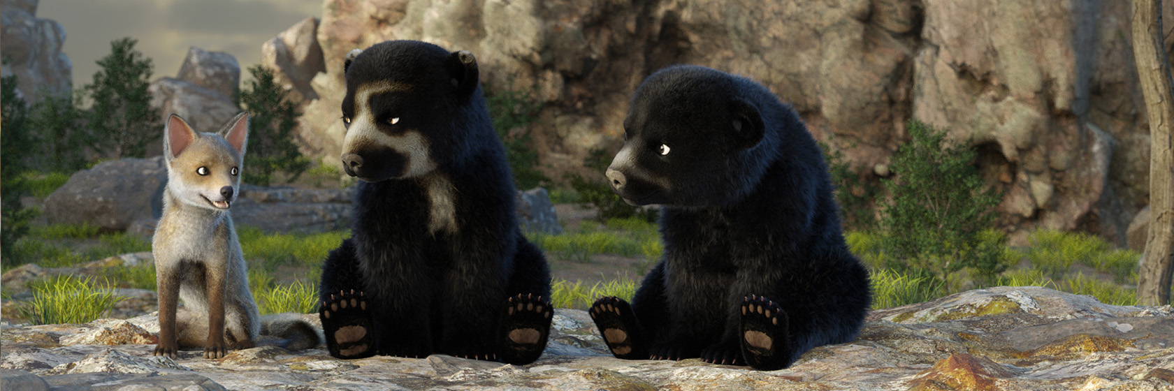 Little Wonder Bear | Palace Cinemas