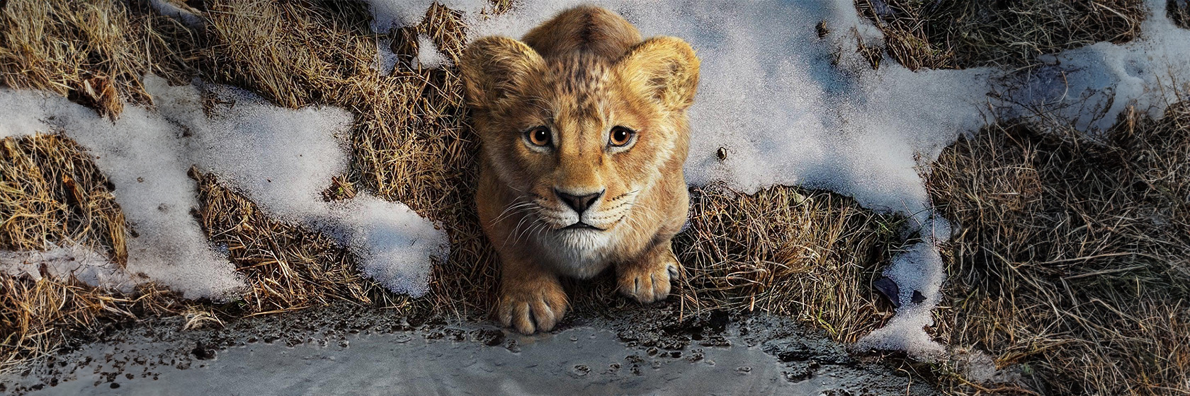 Mufasa: The Lion King | Book Tickets | Movies | Palace Cinemas