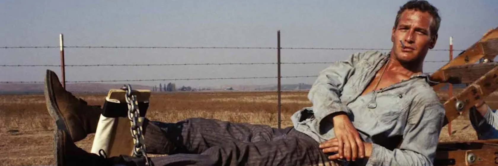 Cool Hand Luke | Palace Cinemas